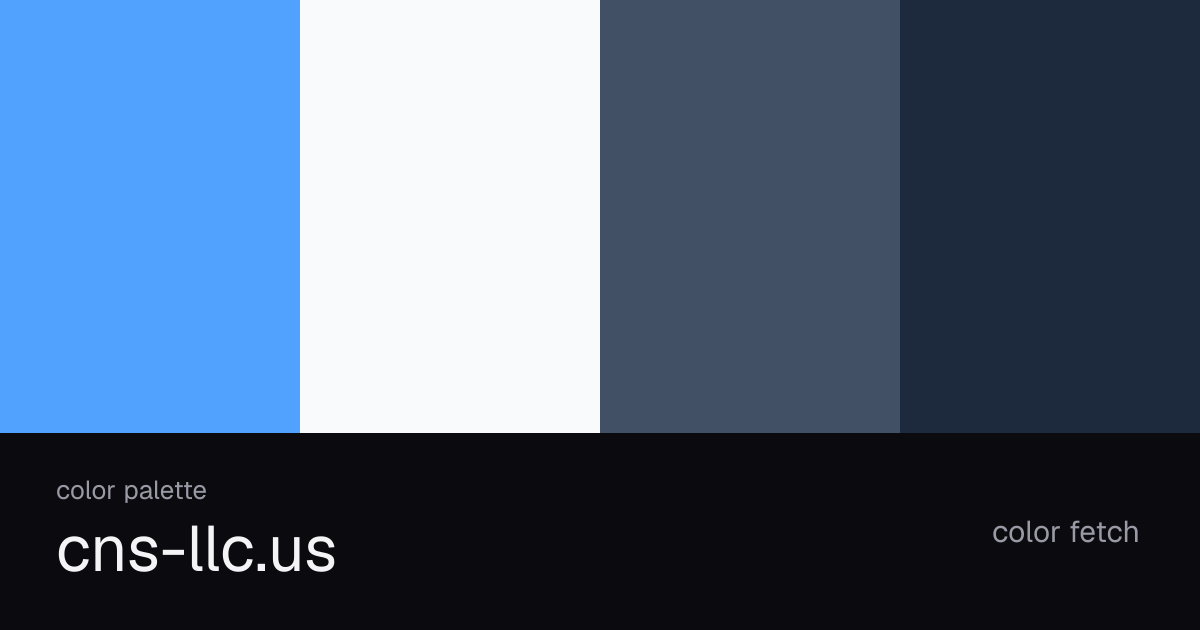 cns-llc.us color palette — Color Fetch